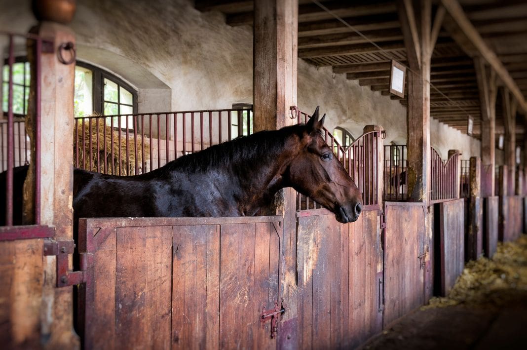 Fire safety for equestrian yards and stables - Smart Horizons