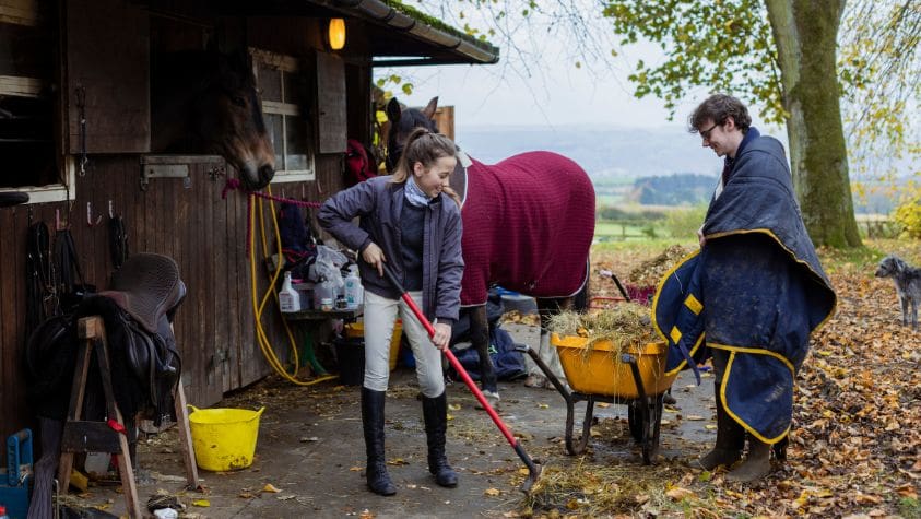 Fire safety for equestrian yards and stables - Smart Horizons